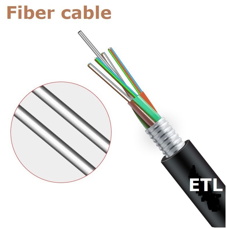Molex Products | Copper & Fiber Solutions | C-Link Connect